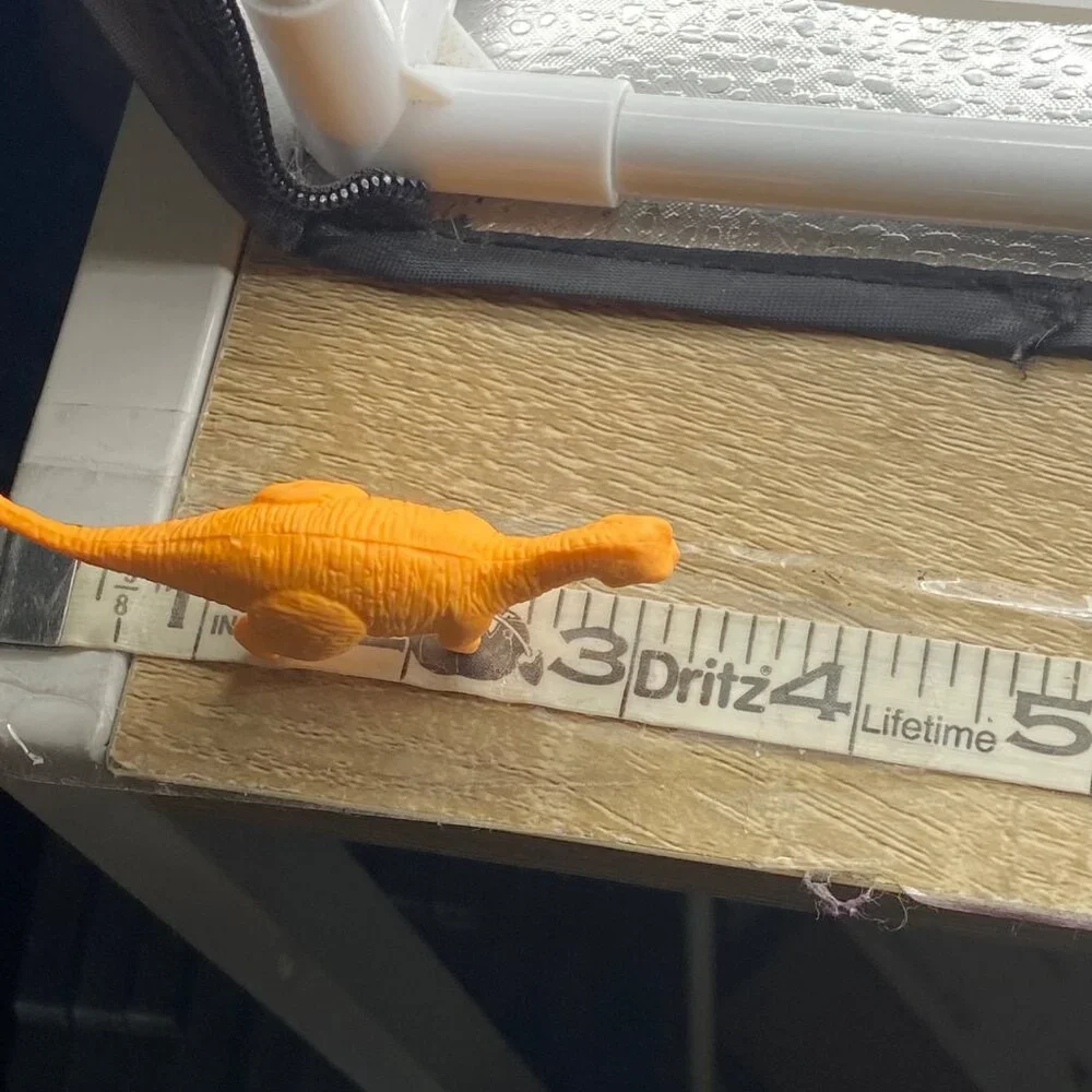 Toys | Dinosaur Crew Lot Toys Trex Ankylosaurus Parasaurolophus ...